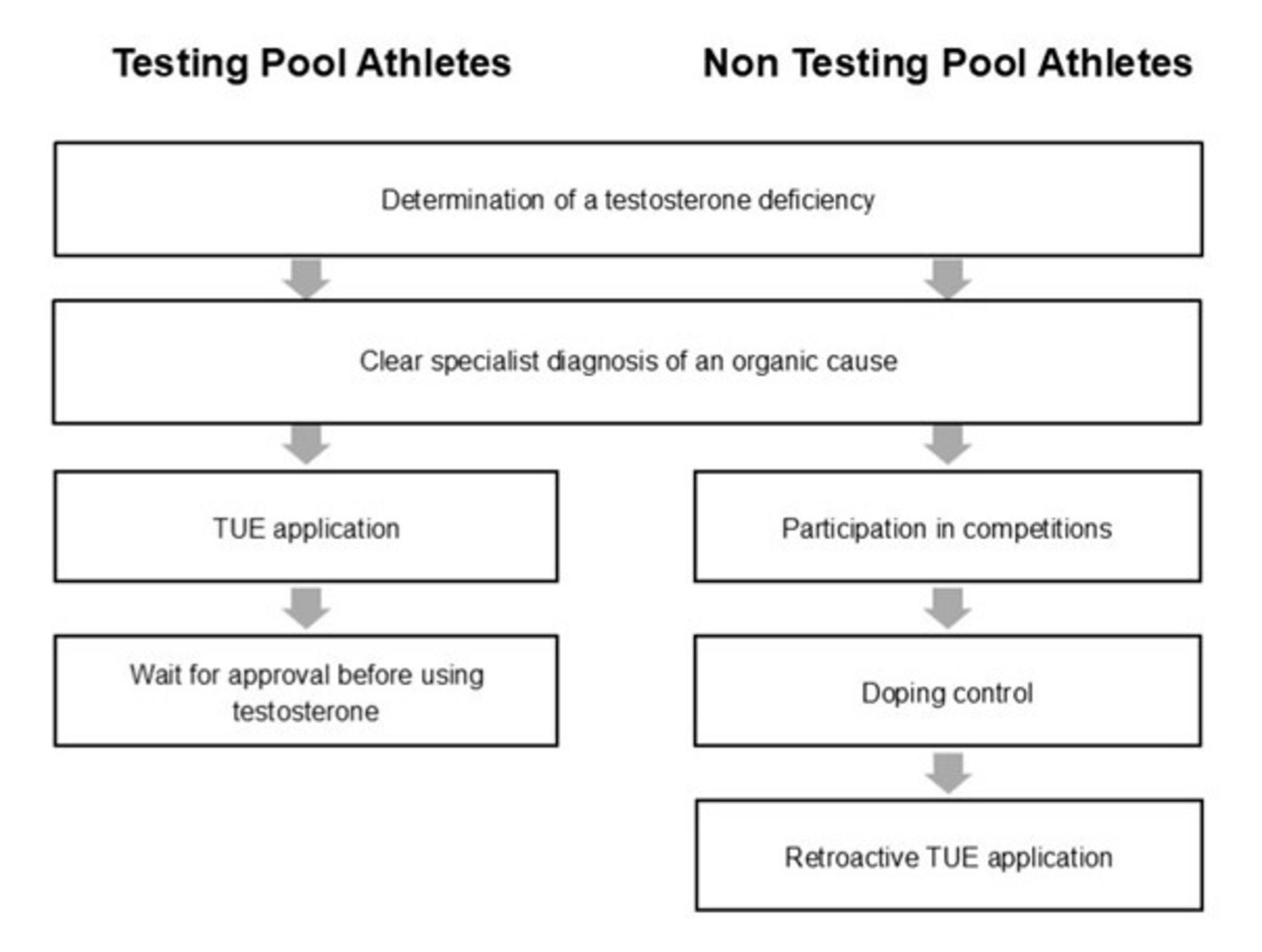 Testosterone in Sports